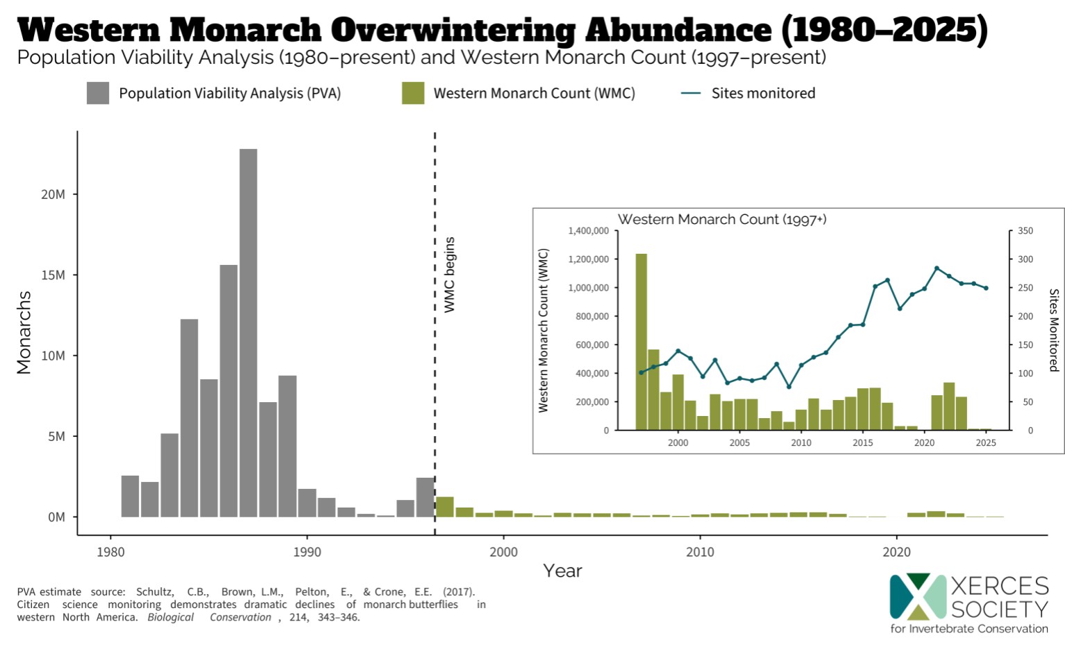 Western Monarch Numbers Remain at Historic Low | Xerces Society