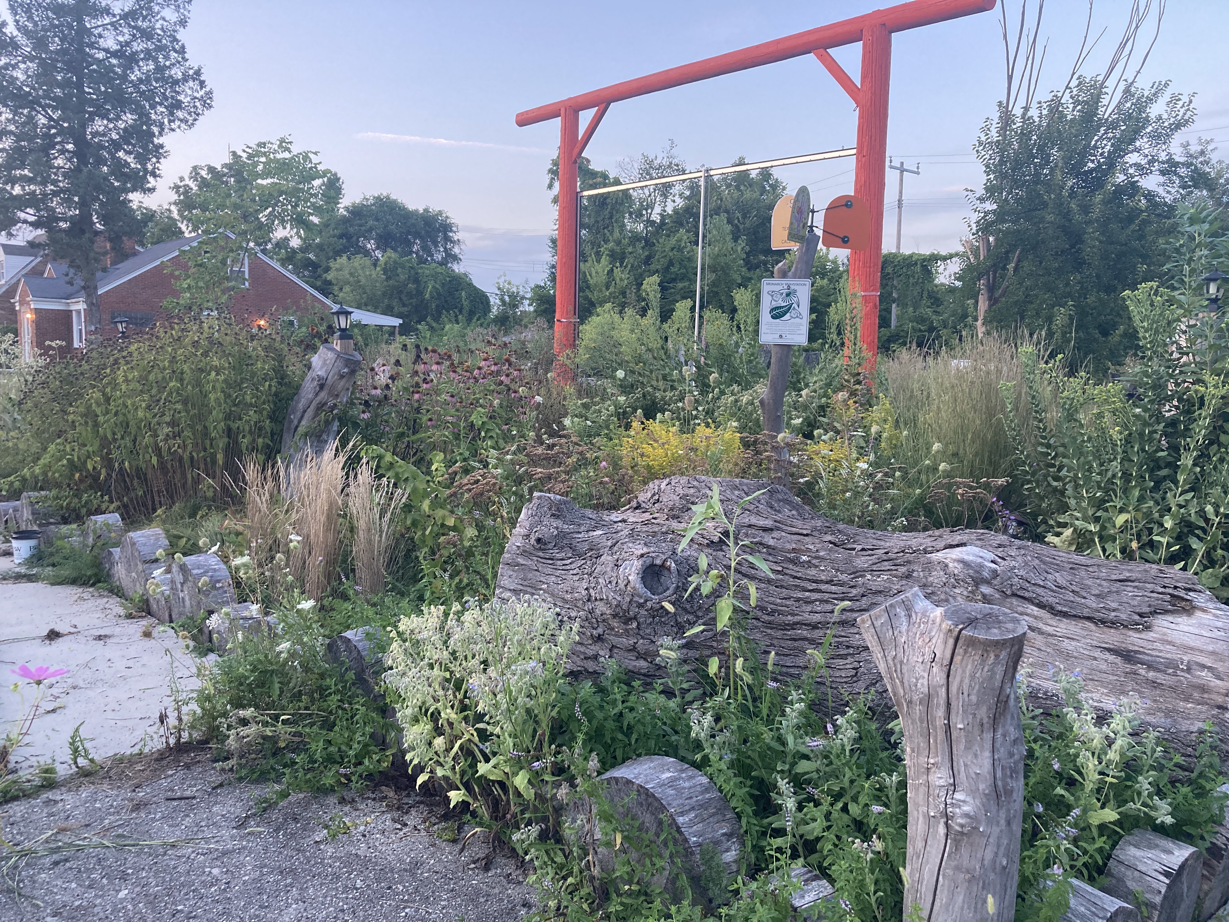 Detroit Pollinator Habitat Kits | Xerces Society