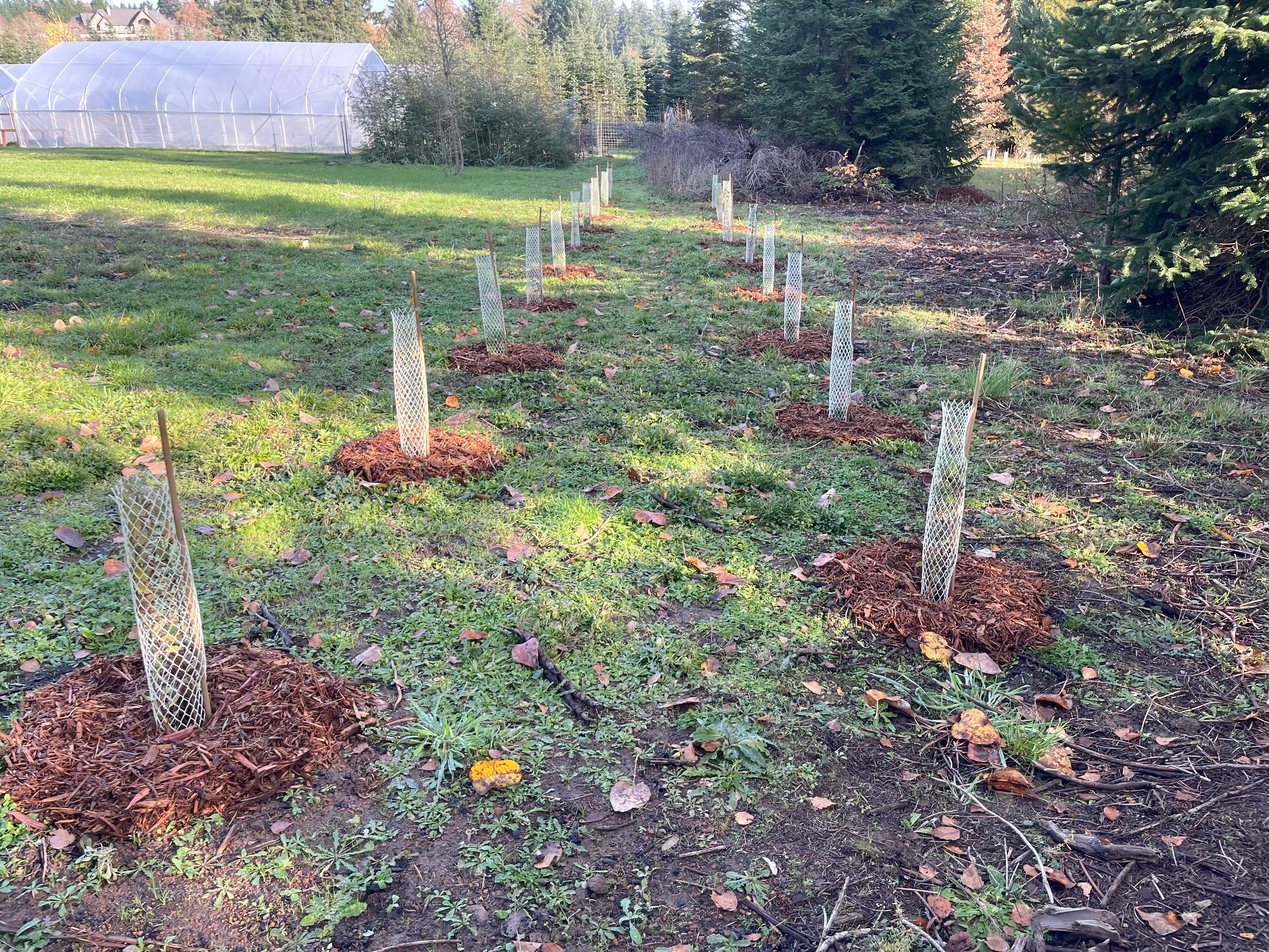 Oregon Monarch and Pollinator Habitat Kits | Xerces Society