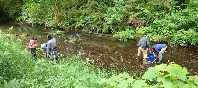 Freshwater Mussels: Threats and Conservation Efforts | Xerces Society