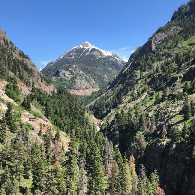 Pollinator Conservation Program Digest – September 2019 | Xerces Society