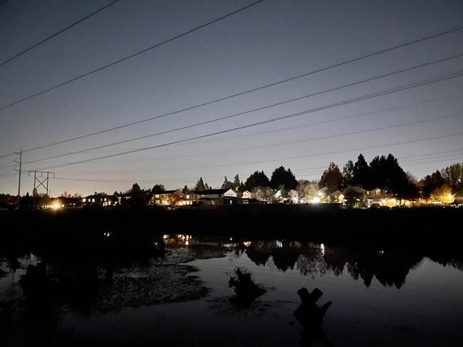 To Protect Pollinators, We Need to Fight Light Pollution | Xerces Society
