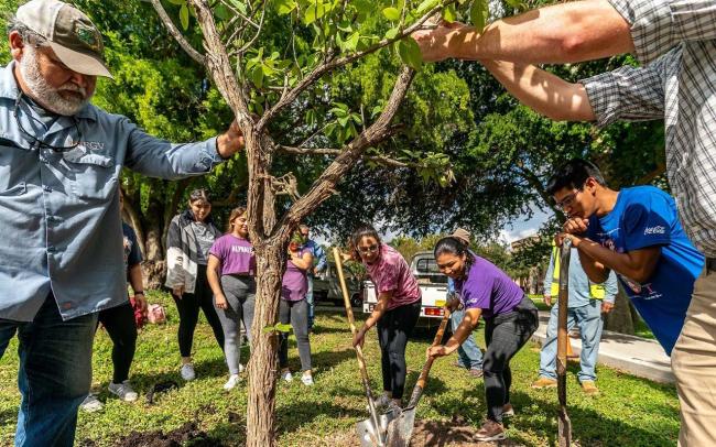 Stronger Together: How To Build Your Conservation Community This Earth ...
