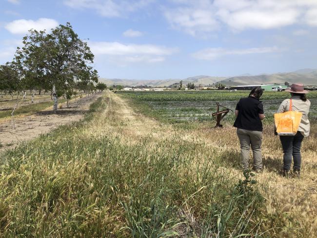 The Value of Conservation Planning | Xerces Society